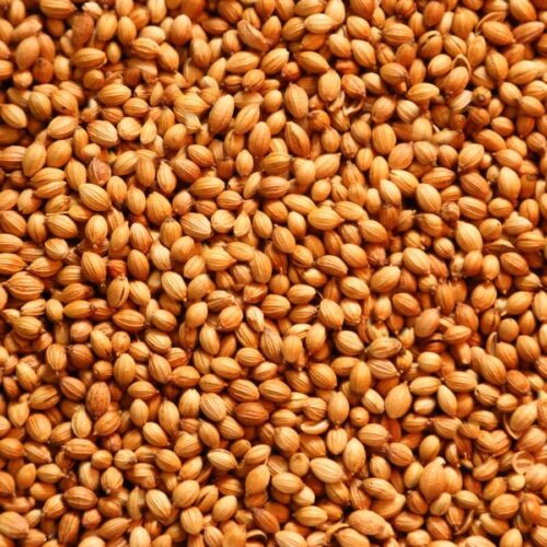 Ragi / Nachni (Finger Millet) - Sesame Seeds India | Bora Agro Foods