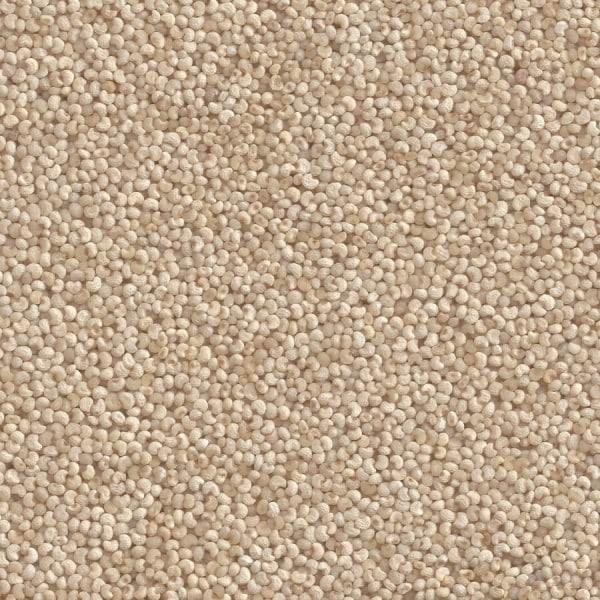 Poppy Seeds (KhasKhas) - Bora Foods | Sesame Seeds, Oilseeds, Spices ...